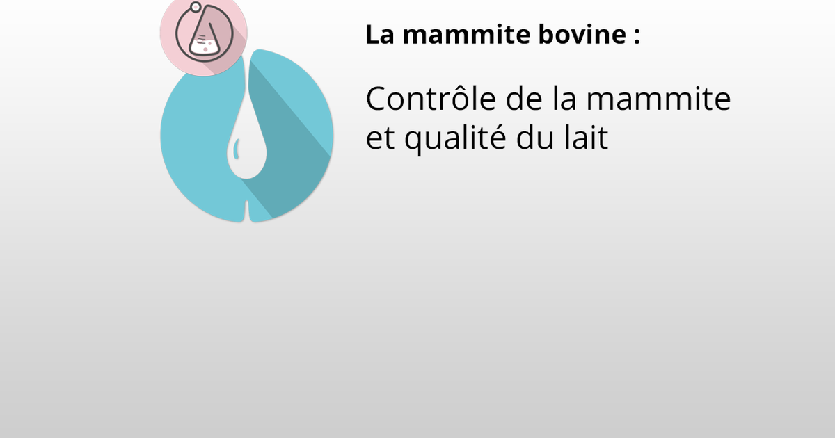 Contrôle de la mammite et qualité du lait