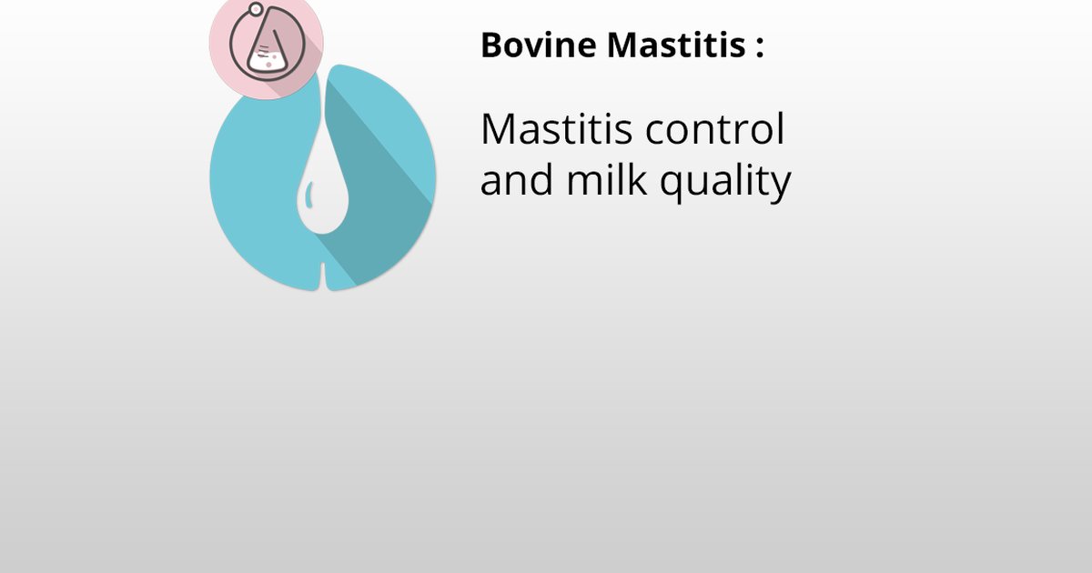 Mastitis Control and Milk Quality